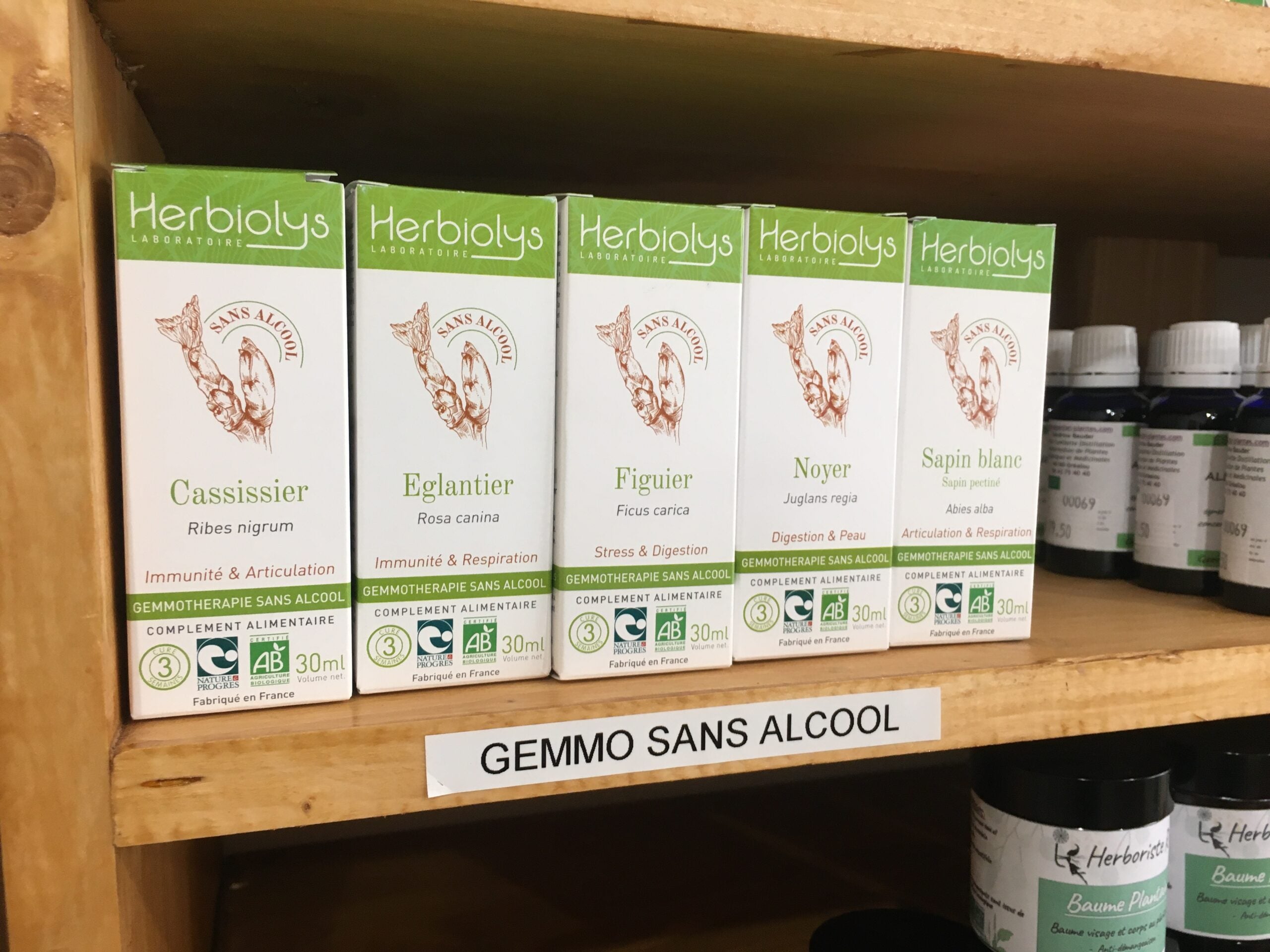 La gemmothérapie sans alcool – L'herbier D'Emilie
